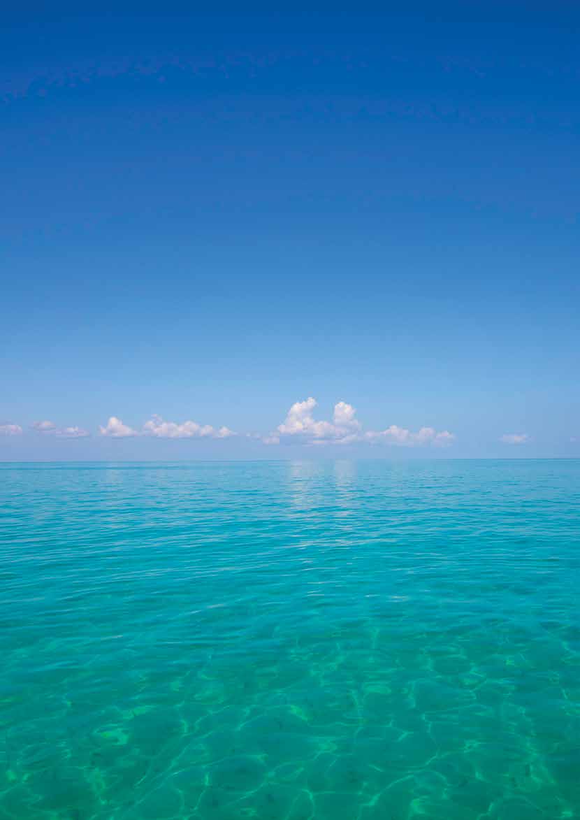 Staatsolie - Suriname's National Energy, Oil & Gas Company - News